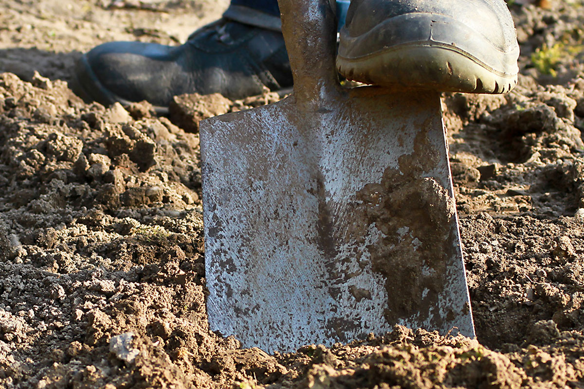 Ratgeber Einfach mehr herausholen: Gartenerde analysieren und ...
