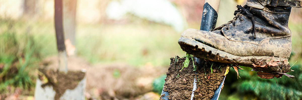 Erdbewegungen wie ein Vollprofi: Alles über Auwahl und Handhabung von ...