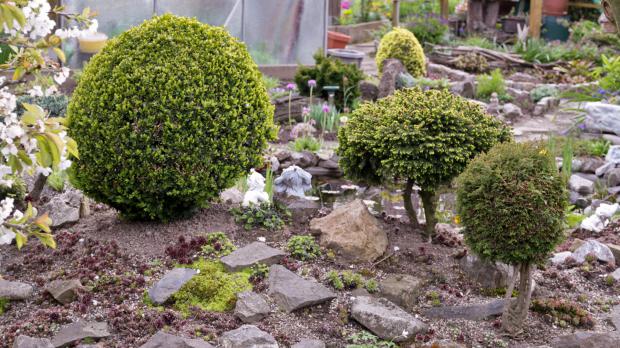 Steingarten gestalten – Tipps für das eigene Steinbeet - Garten ...
